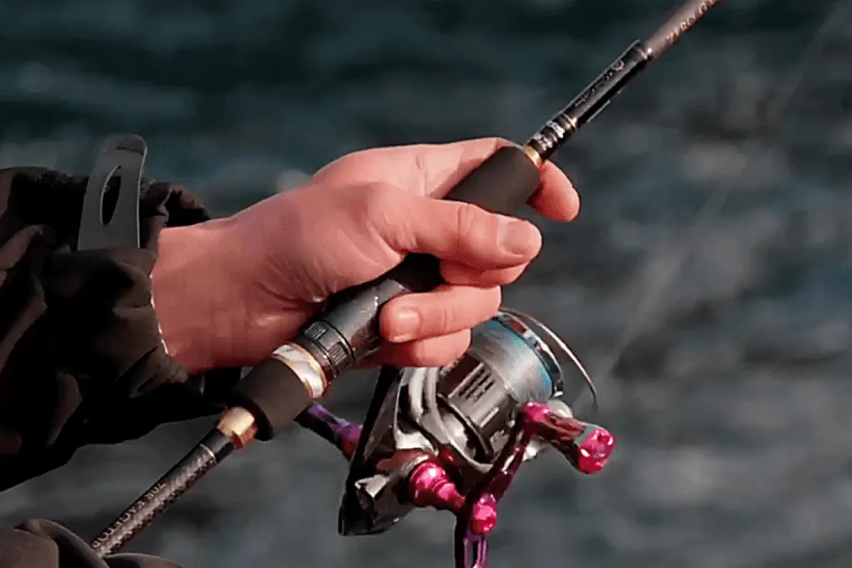 Japanese Squid Fishing Guide: Best Rigs & Lures by Squid Mania