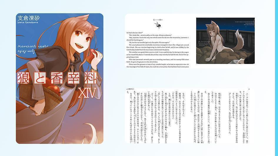 What Are Japanese Light Novels? Beginner’s Guide & Top Picks