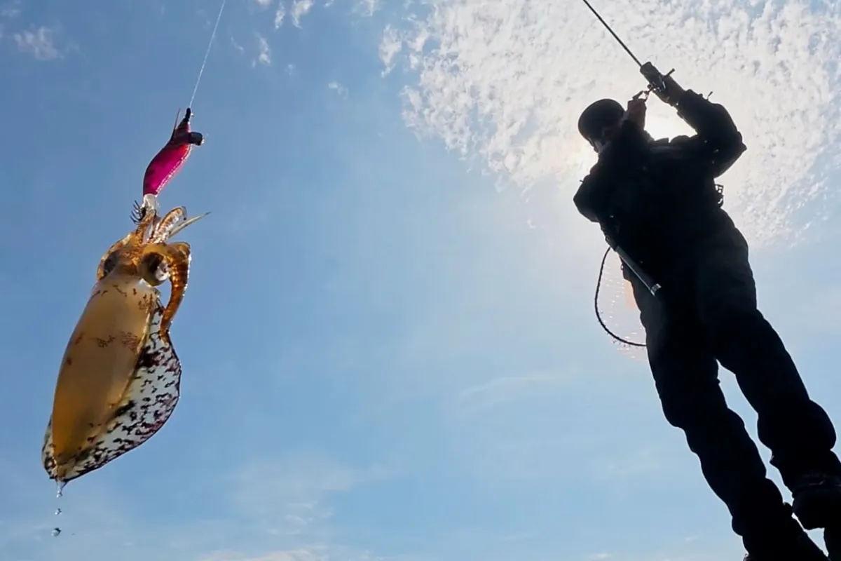 Japanese Squid Fishing Guide: Best Rigs & Lures by Squid Mania