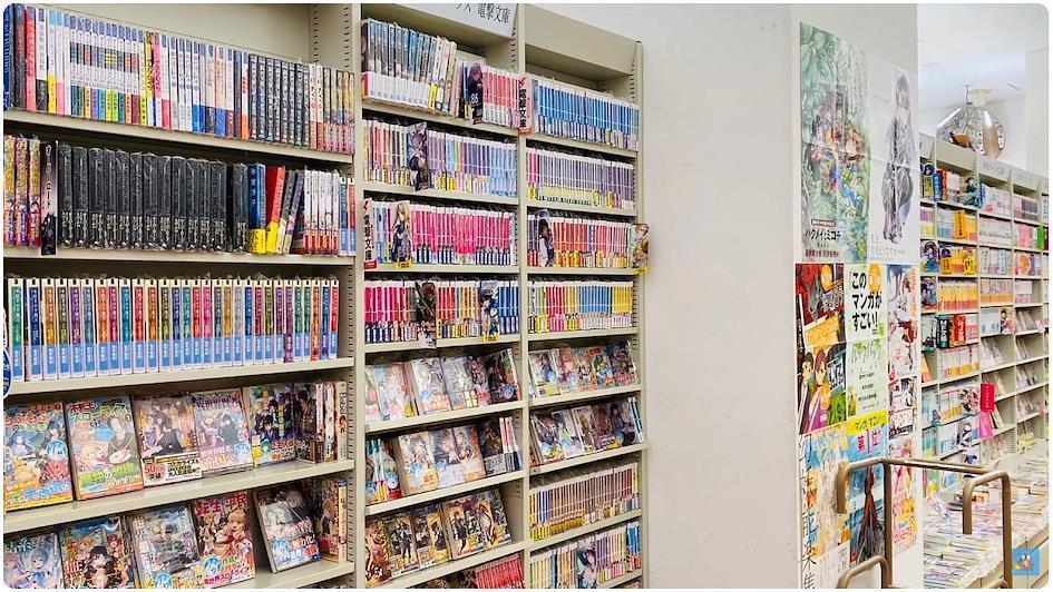 What Are Japanese Light Novels? Beginner’s Guide & Top Picks